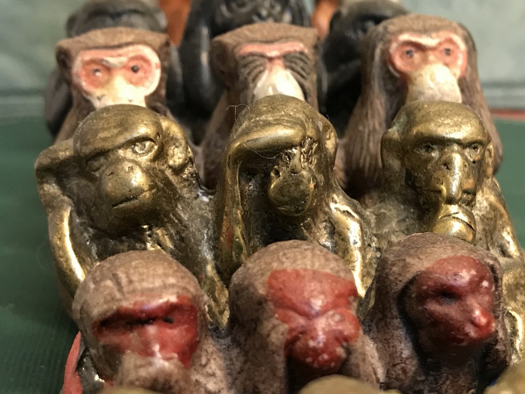 CO3~1~Novice~Robert~Raab~I’m_Watching_You~48 | NIH Camera Club