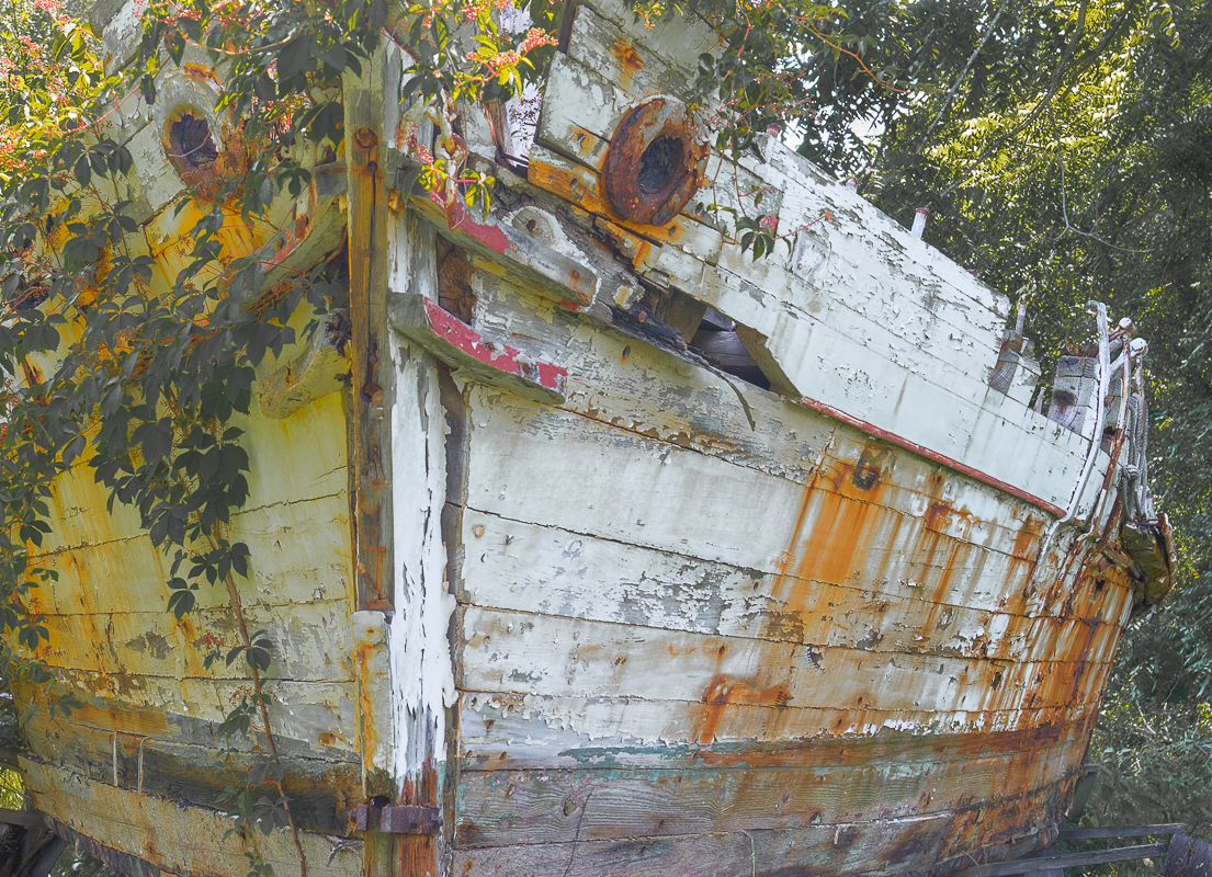 CO7~1~Advanced~John~Norvell~Hoist_The_Sails~39 | NIH Camera Club